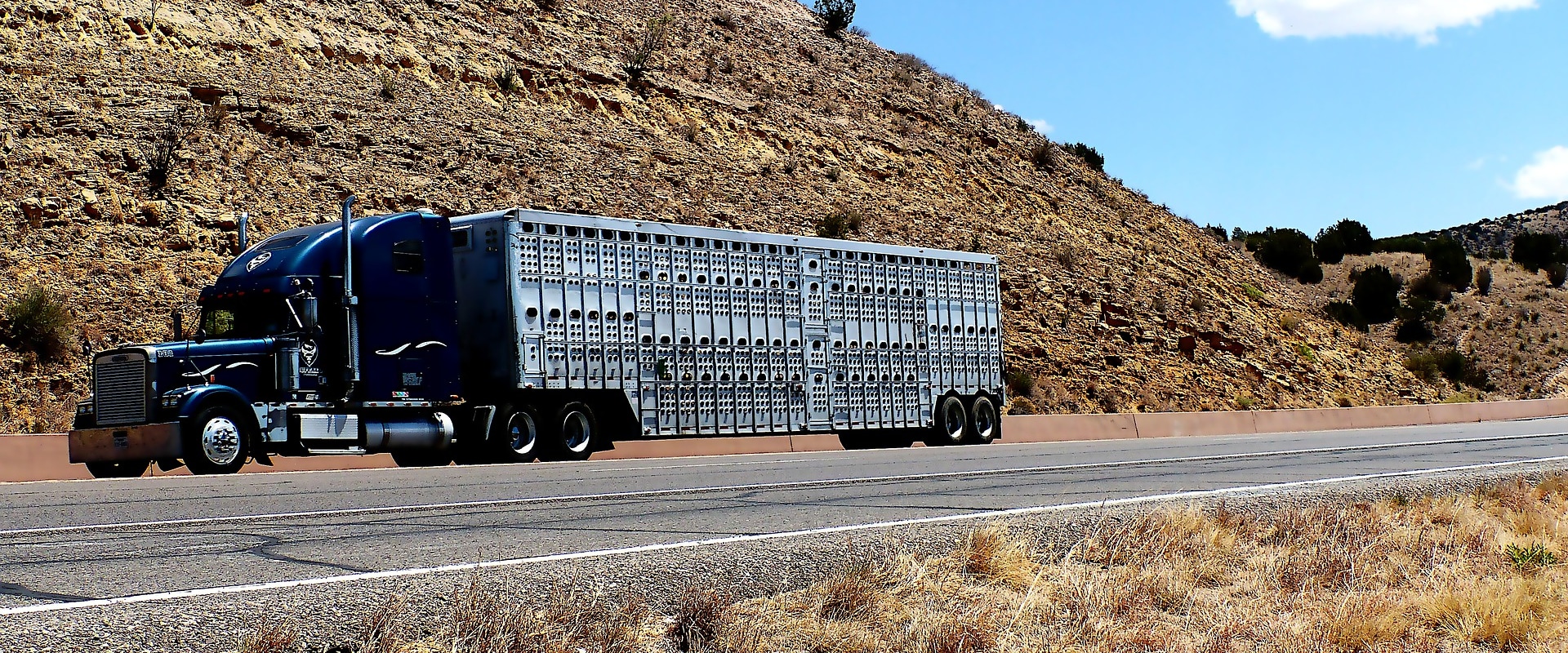 Everything You Need to Know About LTL Shipping